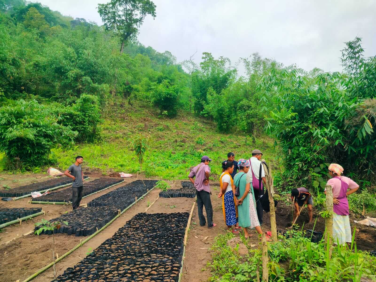 Preparation of Environmental Social Impact Assessment Frameworks for category F1 Projects in ...